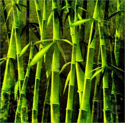 bamboo sap – red flower