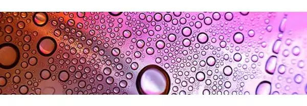 Live Life Fully, Shower First – red flower
